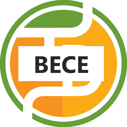 TestDriller BECE
